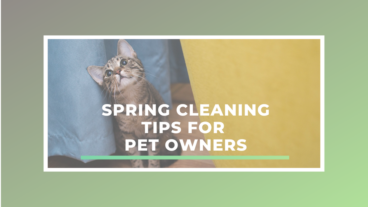 Spring Cleaning Tips for Pet Owners: A Complete Guide for a Fresh, Fur ...